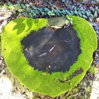 甥の企画で3世代旅③最後は甥が作ってくれた冷麺で｜蓮