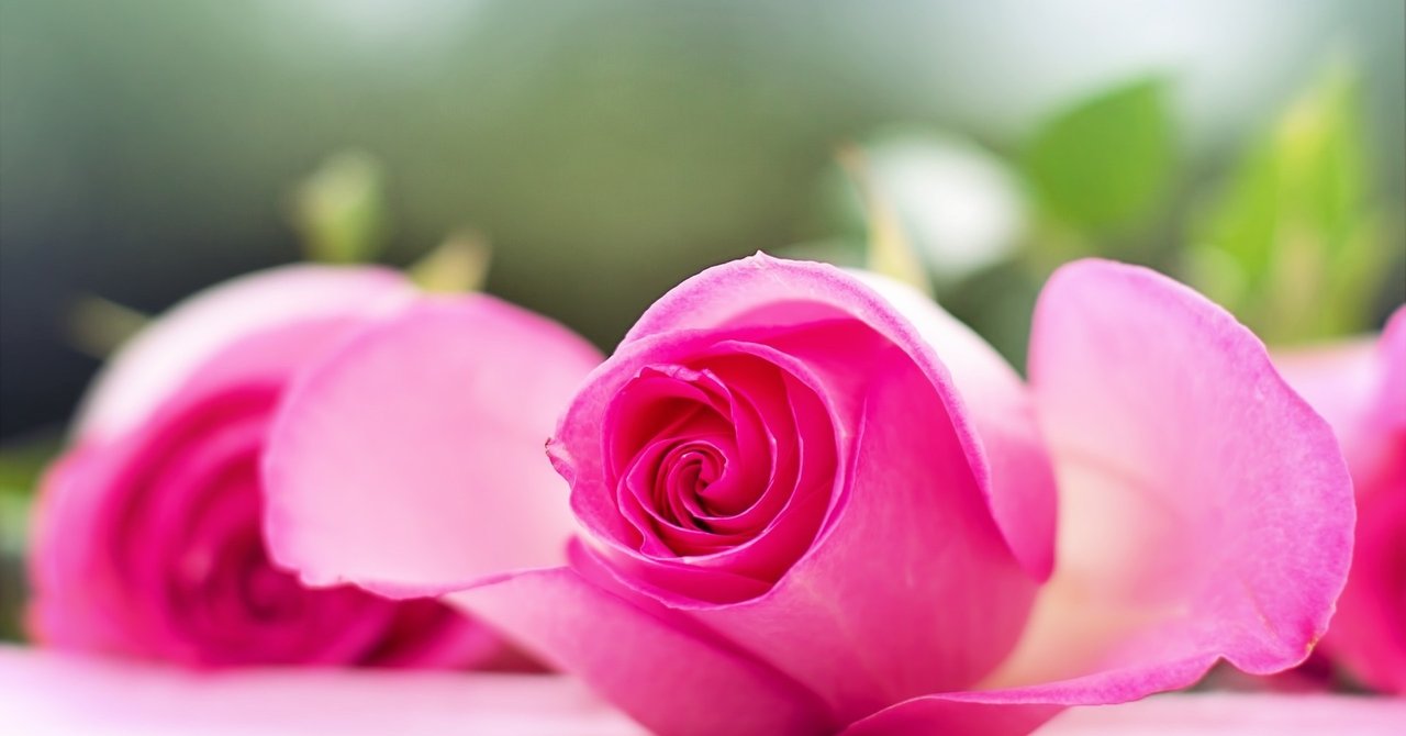 あれもこれも欲しがれないよね。｜Sunao♡LOVE＆〝感じる〟女性性マーケティング♡｜note