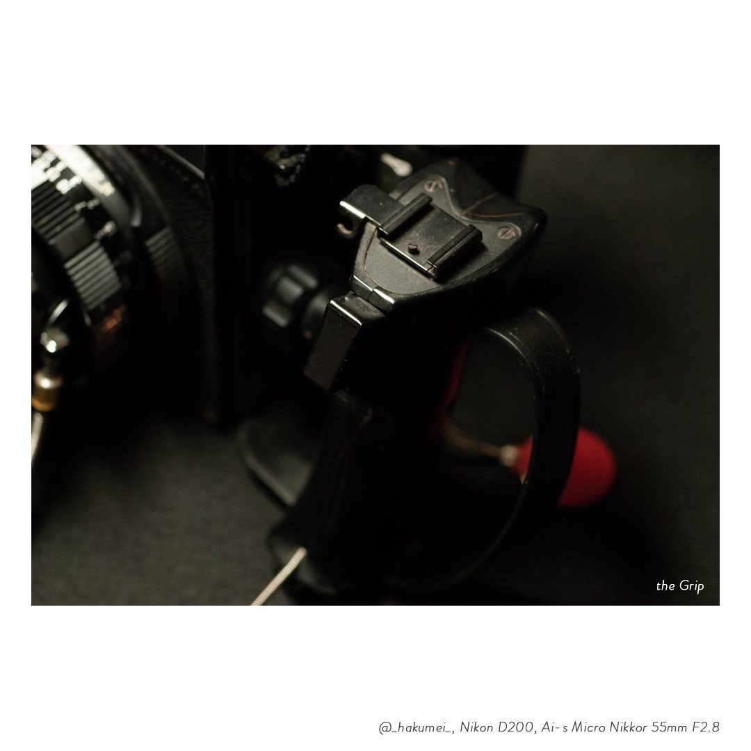 MAMIYA PRESS SUPER 23はじめの一本|薄明 MAMIYA PRESS SUPER 23はじめの一本|薄明