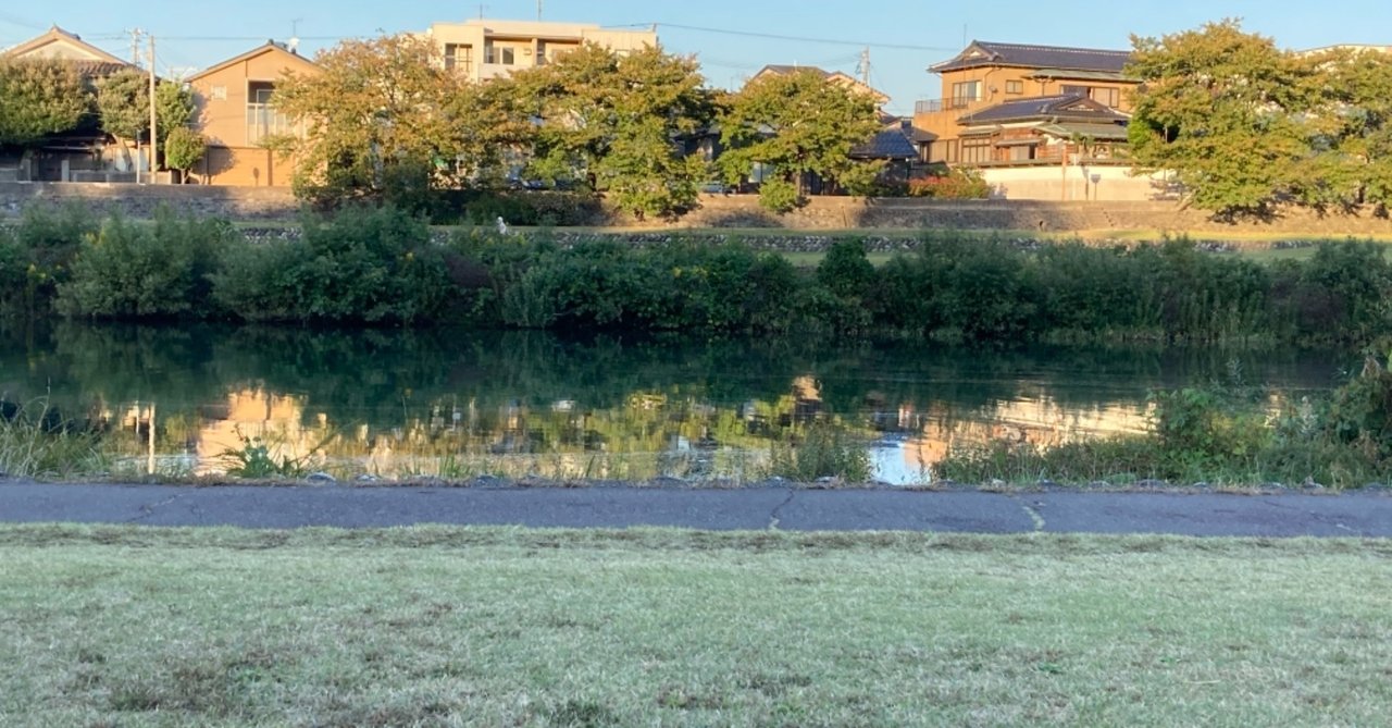 すっとこどっこいとヒル｜KtoT