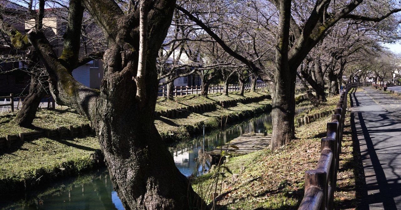 【お散歩スナップ】地元の川越にてPEXTAX K100Dでお散歩スナップ（2020年10月25日）｜守屋吉之助🌈Healing artist