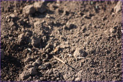 タイトルに込めた想い。｜conceptlab-lagom