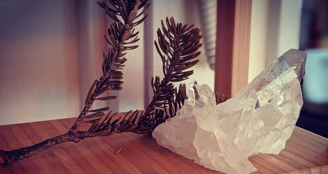 morinoha_chie_nomoto｜note