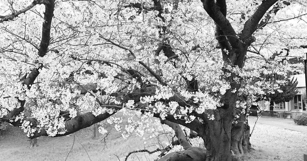 待つ｜kao-line｜note