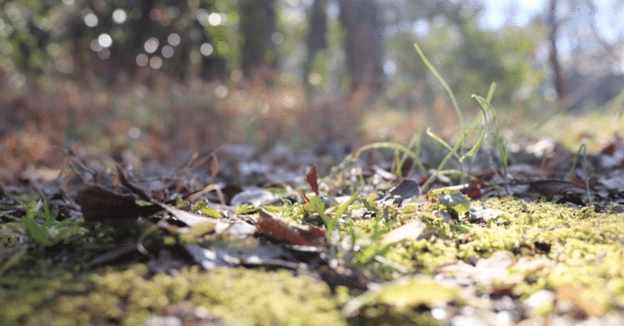 009 引き出しの中の言葉｜Mariko Ishida