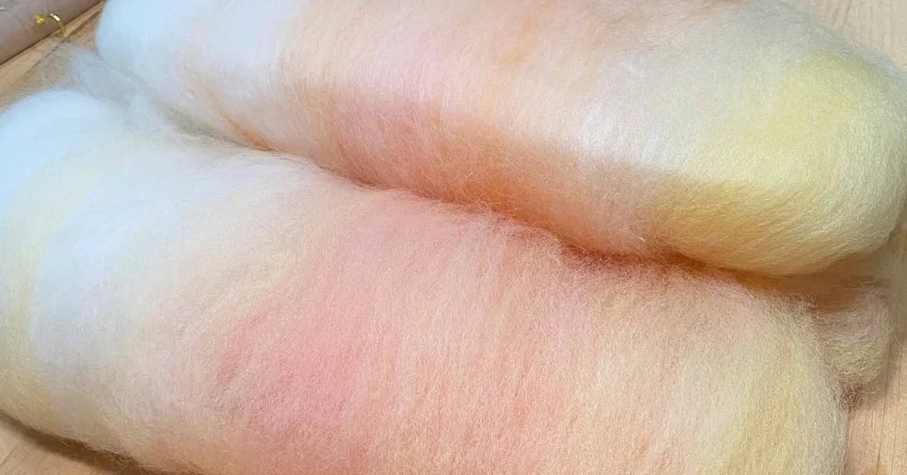手紡ぎ用のブレンド羊毛（バッツ）です。｜ぽわぽこ（ほわほわの手仕事倶楽部）