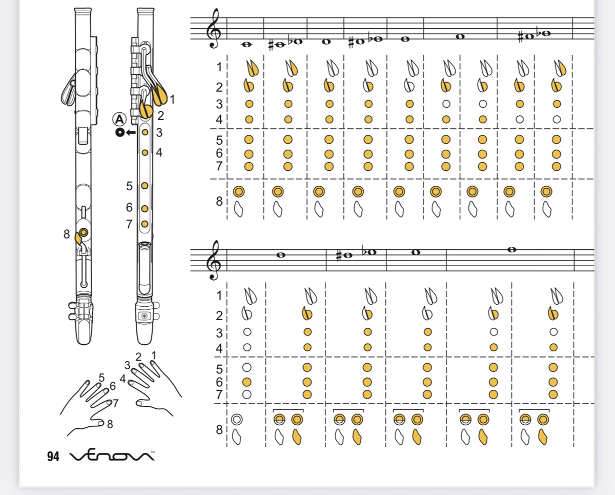 リコーダーみたいに運指もカンタンなプラスチック管楽器！YAMAHA YVS-100 Venova ヴェノーヴァ｜note楽器