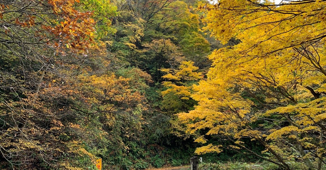 若い仲間とnote再開します｜Masashi Kamimura