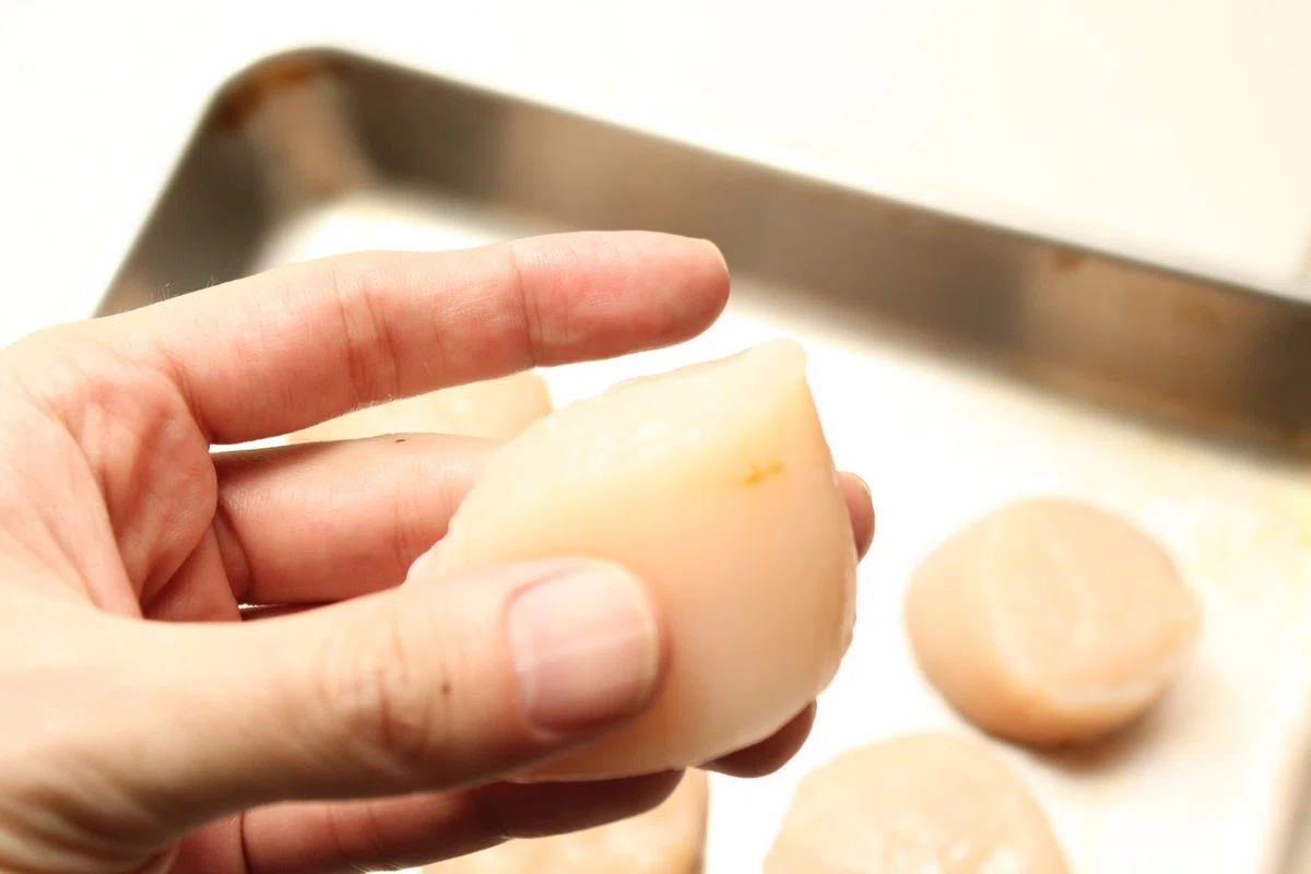 Pan-searing Scallops｜樋口直哉(TravelingFoodLab.)
