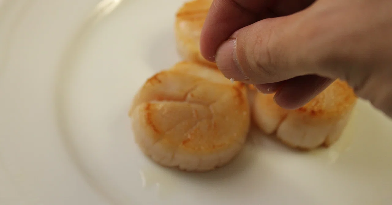 Pan-searing Scallops｜樋口直哉(TravelingFoodLab.)