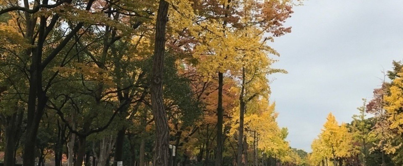 約束｜Ai Tashiro｜note