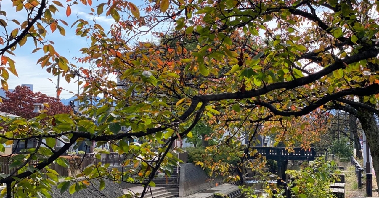 テレビの影響は凄いです ️ ️柿川亭の物語31｜Masatoshi Oka | 柿川亭｜note