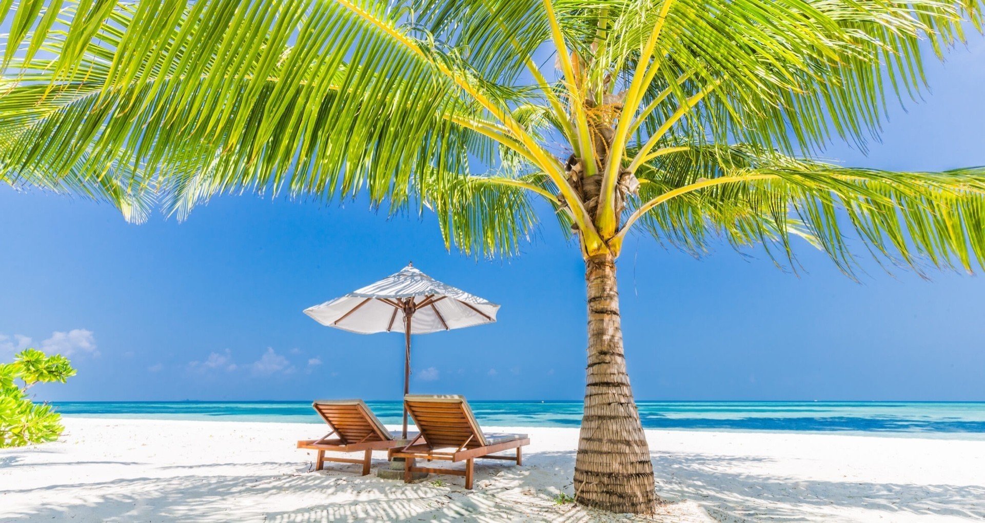 Shinri ︎‘s room｜note