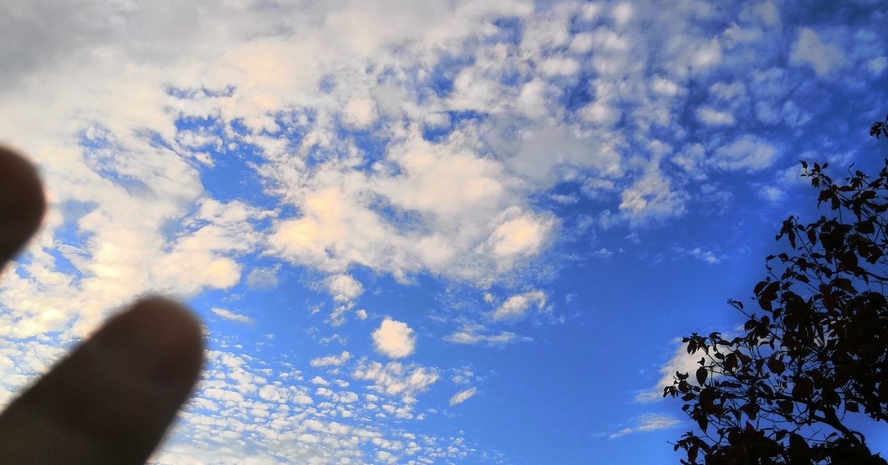 2020/11/2の週の振り返り｜keisuke motoki