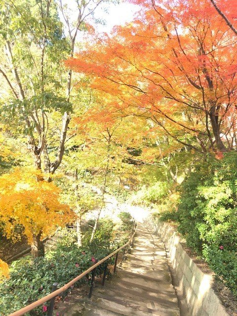 文章にも四季と彩りを ～ひかりも闇も愛して～｜流香 /一人ひとりの幸せ作家｜note