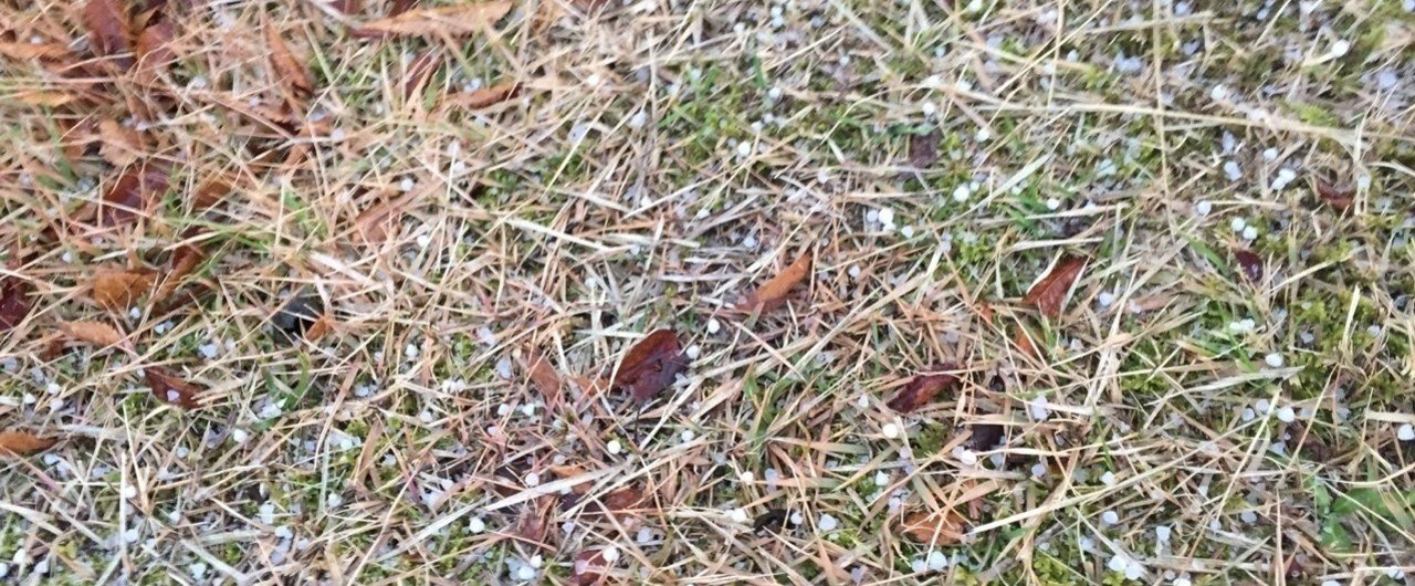 雑文 #107｜momonga