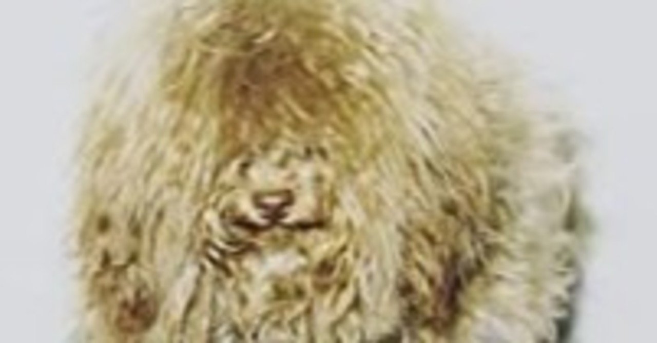 フジファブリック(4)アルバム「CHRONICLE」20201116｜JK ACT