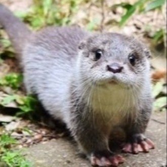 Otter｜note