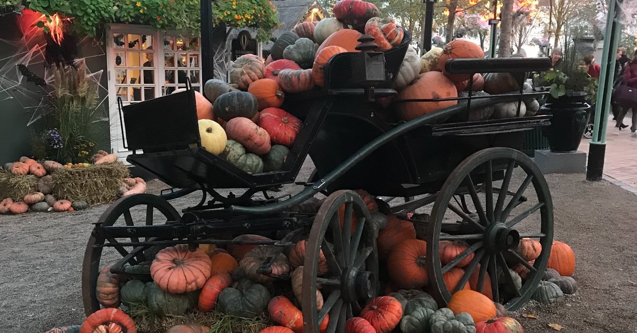 私の物語はいつだって憧れから13話｜chef ichi