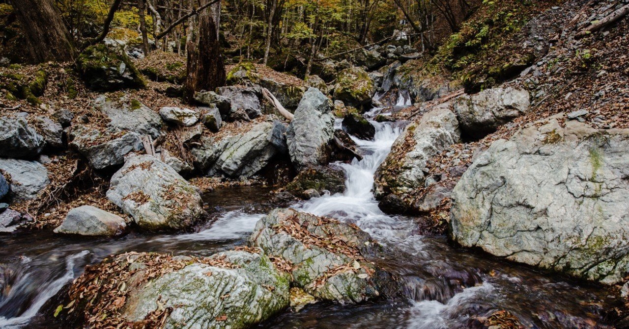 進化と退化のあいだで哀を叫ぶ｜Inoue Yohei