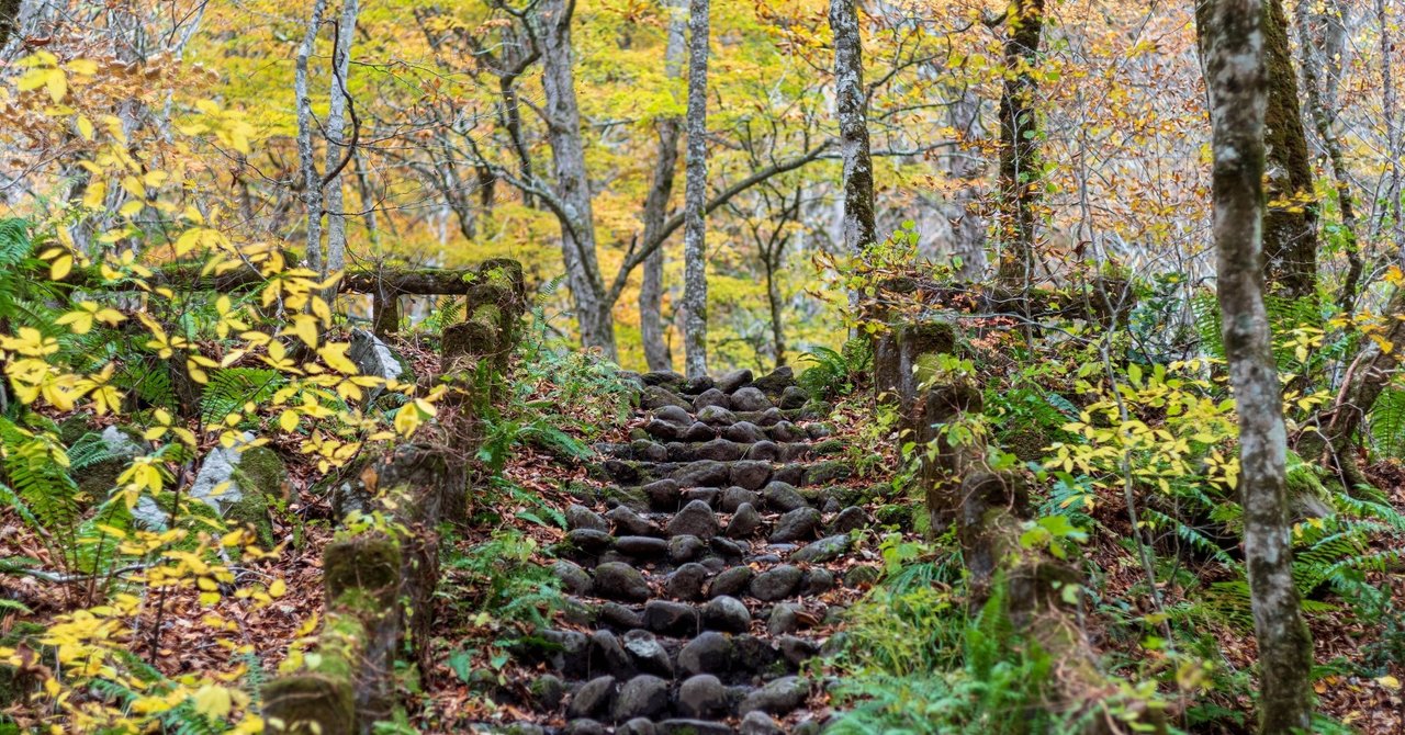 11/9-11/14までのまとめ｜Akio Wada｜note