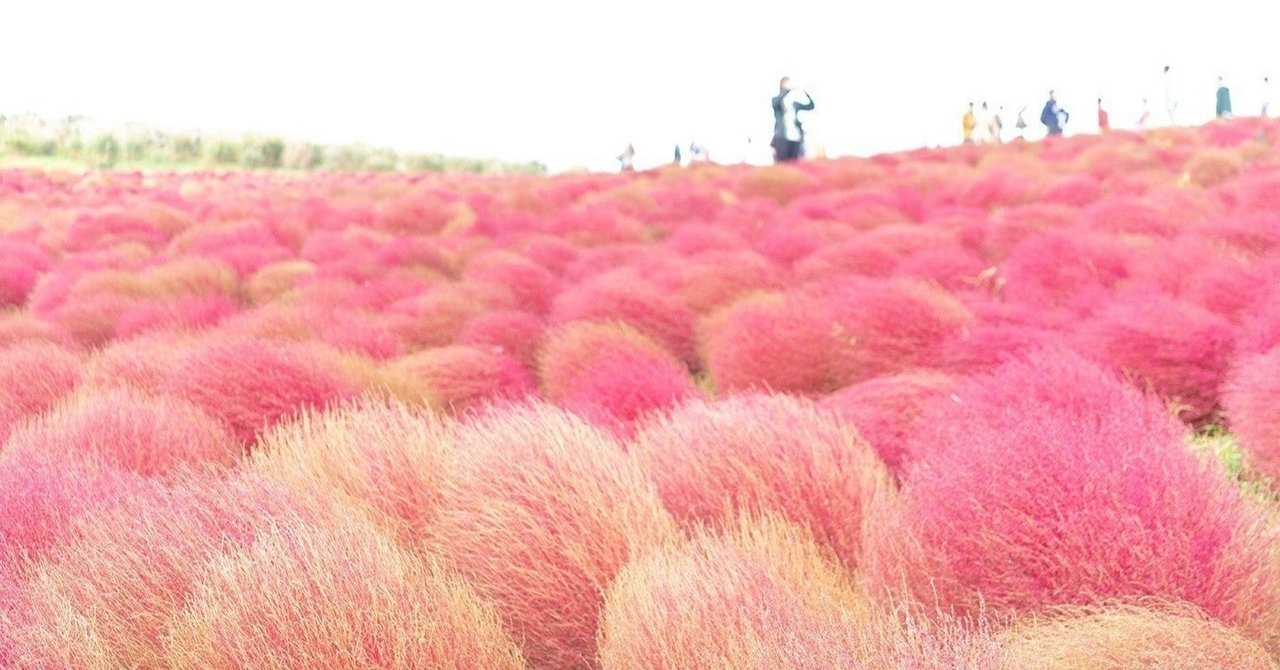 「今を生きている」人｜Junko Takayama｜note