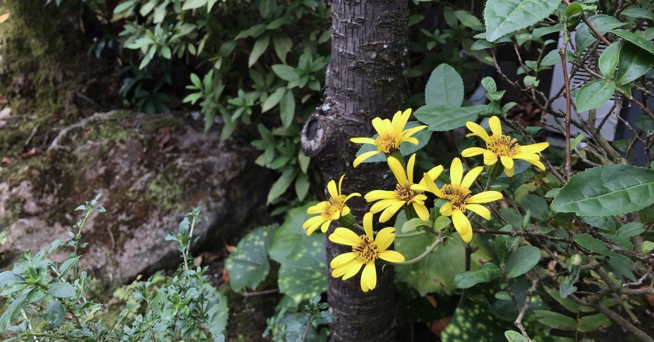 未来会議2。｜Wada Hiroko