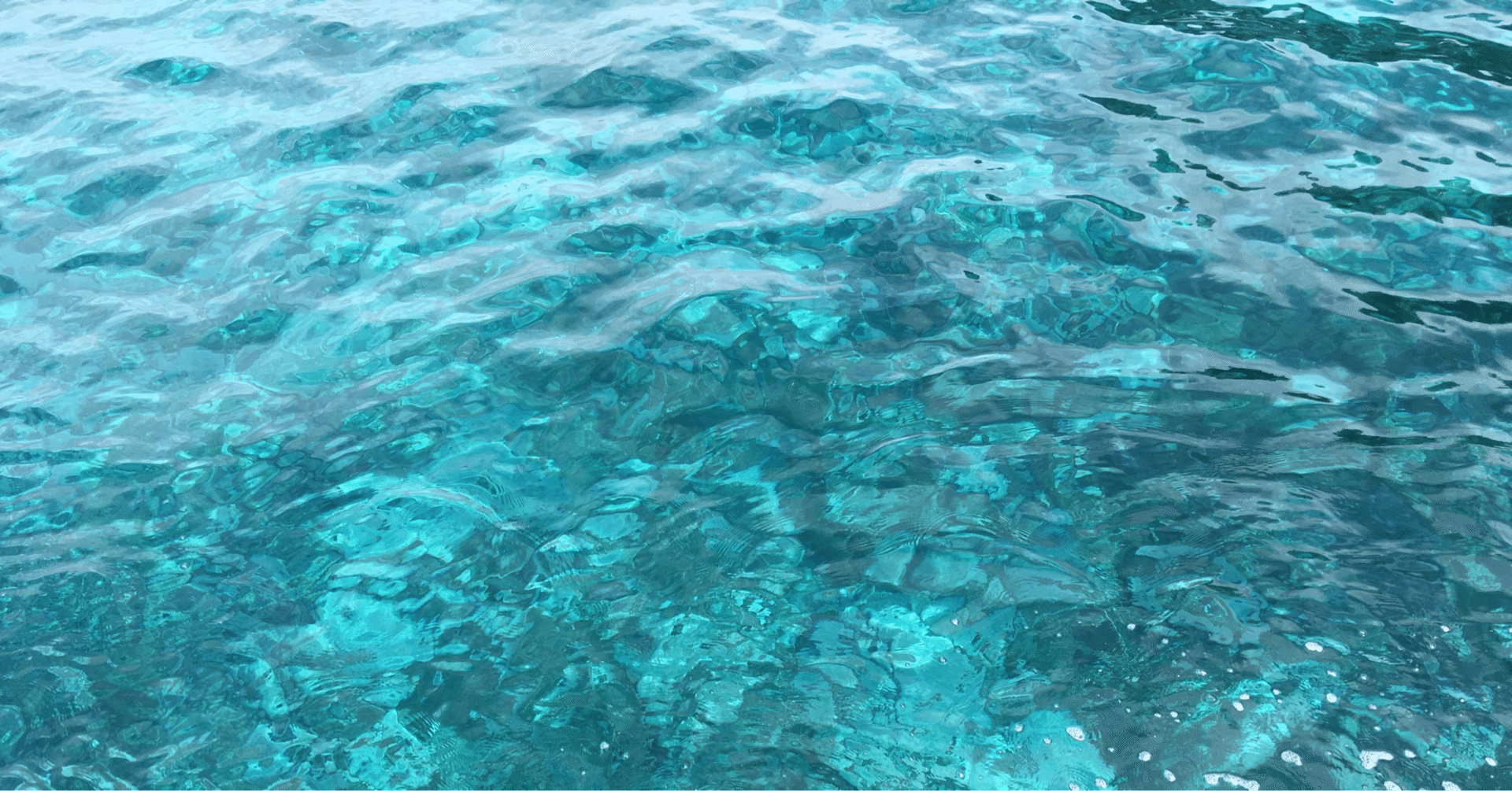 アクションアドバイザー Shine｜note