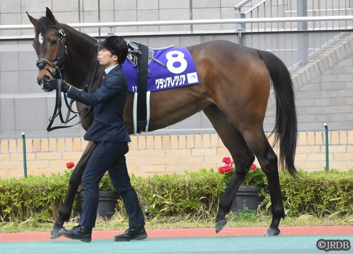 11/22（日） 阪神11R マイルCS 赤木の予想｜JRDB 競馬アラカルト