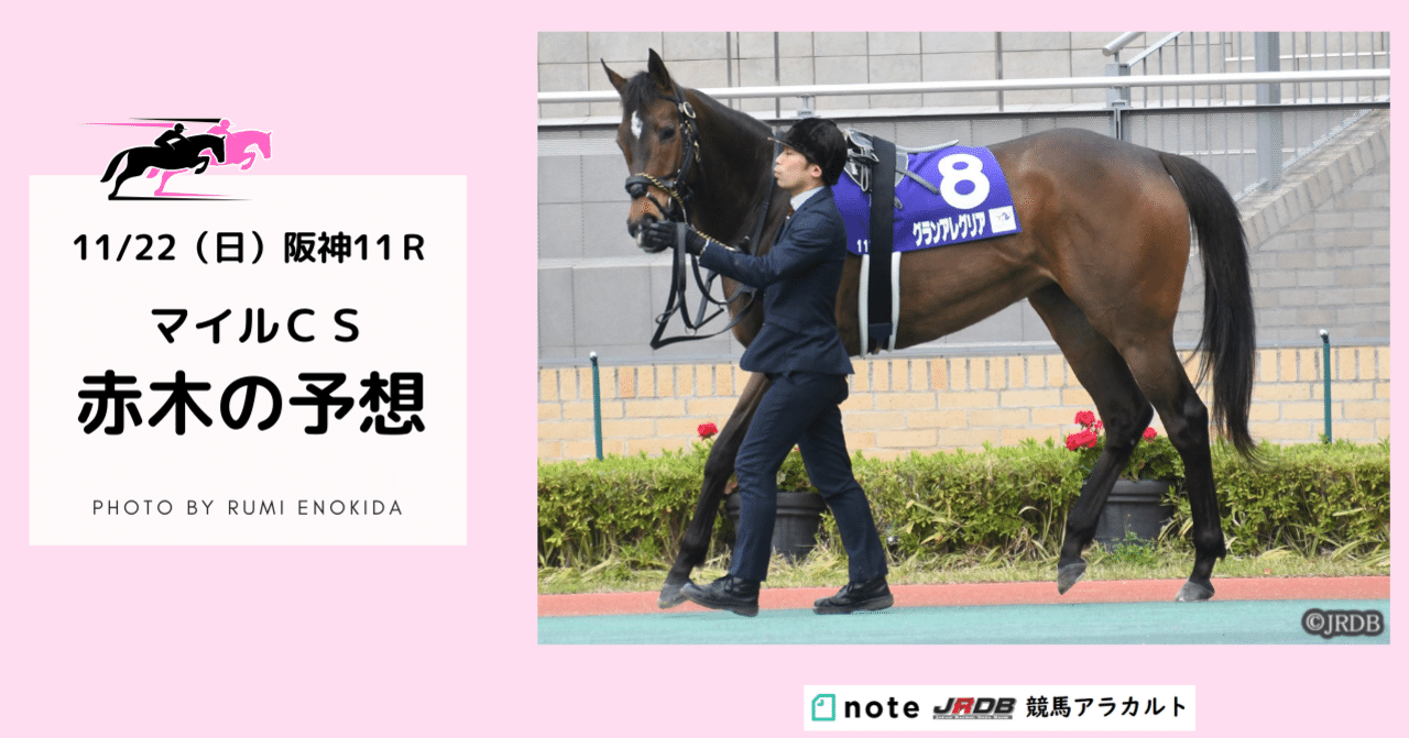 11/22（日） 阪神11R マイルCS 赤木の予想｜JRDB 競馬アラカルト