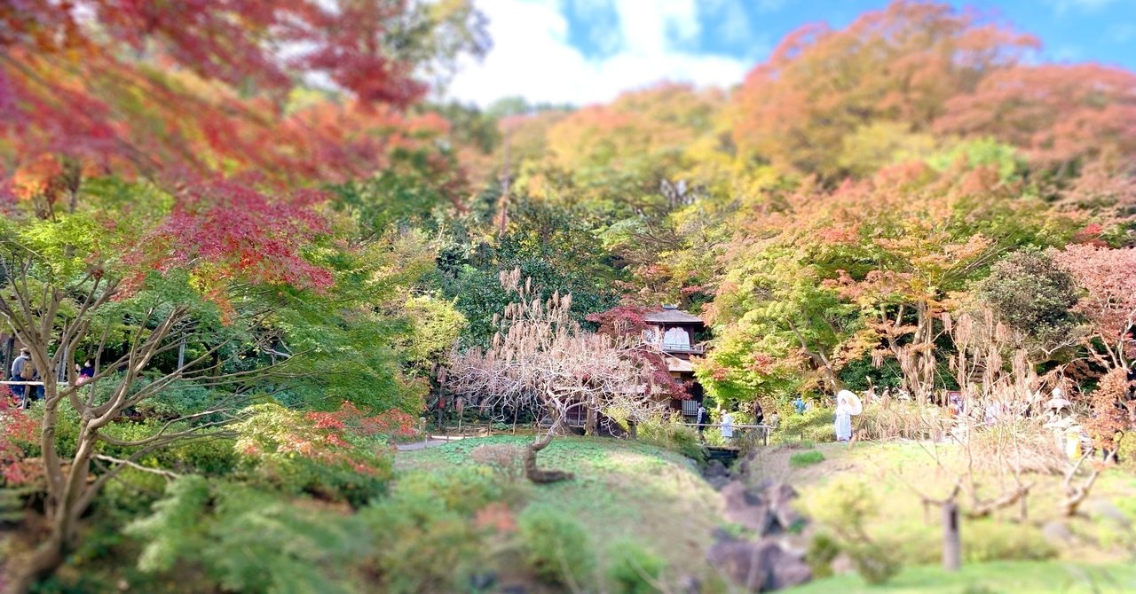 予想がつかないから人生は最高なのだ｜Azusa K.｜本当の自分を生きる石ころライフのススメ｜note