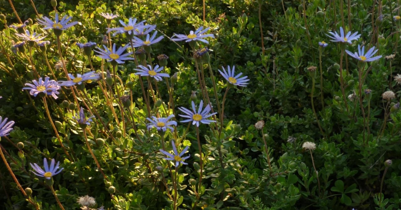 『祈り』は、自分のためのものだった。｜mog-mog design（m.k）｜note