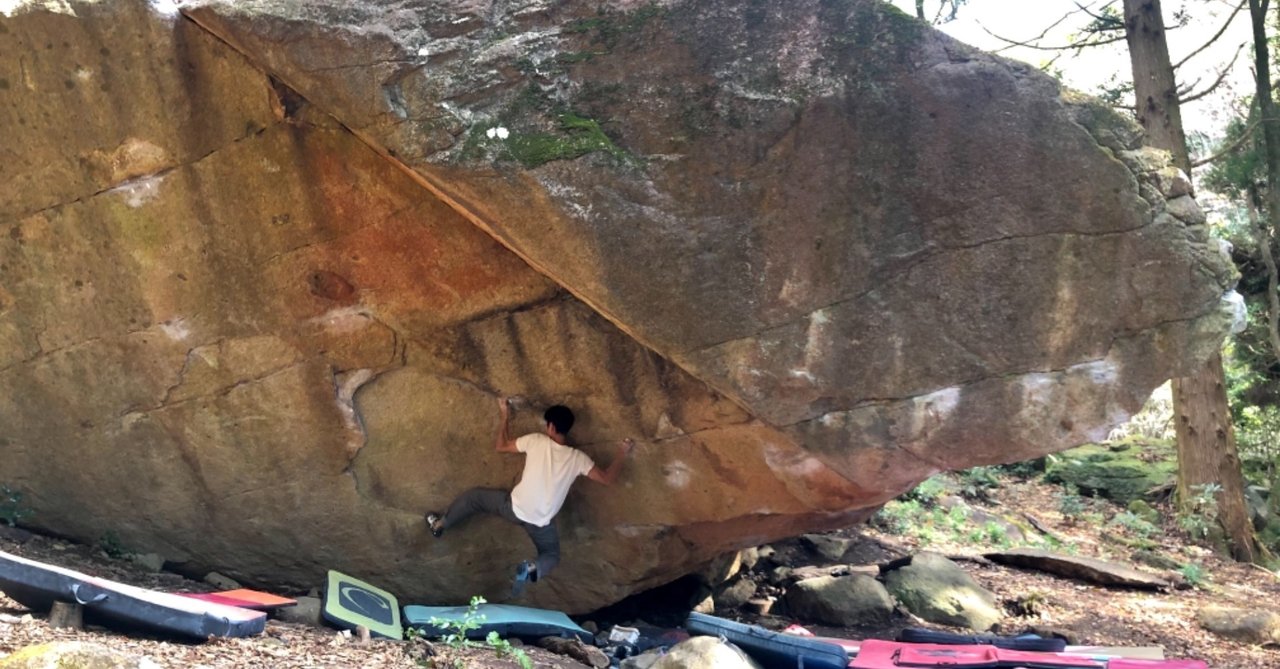 比叡タブノキエリア（2020/11/23）｜tomoe sawai / クライマー