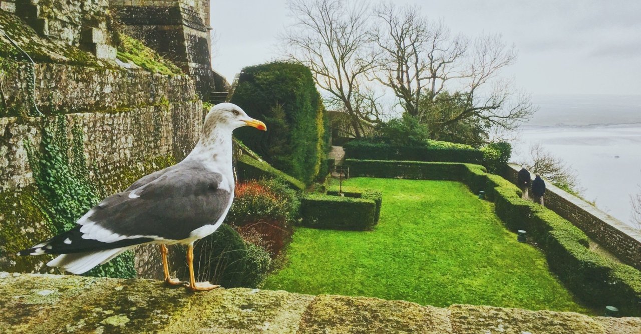 レベレーション（啓示）連載終了｜hide-toyo｜note