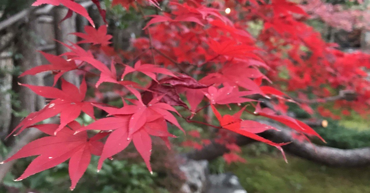 未来会議3・4｜Wada Hiroko