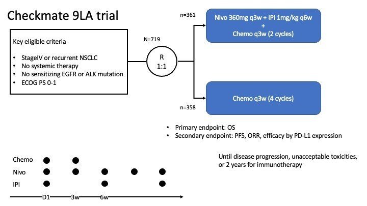 Checkmate9LA試験とKN189試験｜おりす