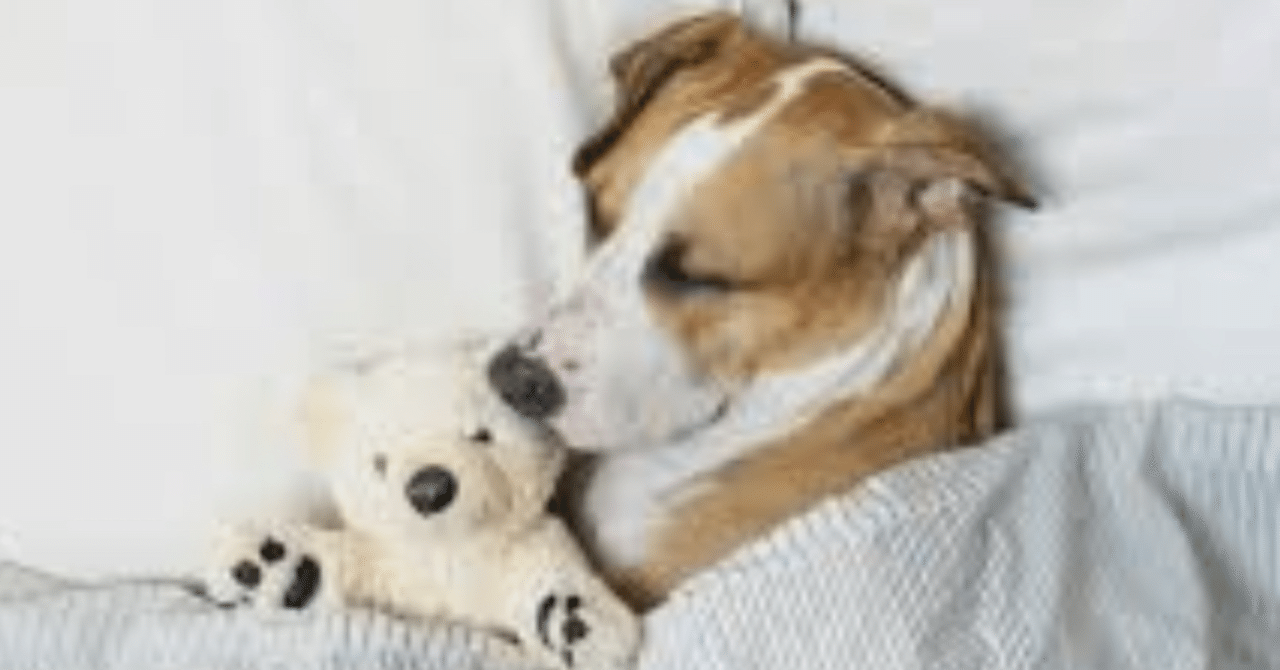 睡眠中に、足を踏み外した感じがして、ビクッとして起きてしまう！皆体験した事のあるあの現象っていったい何？｜yudetama111