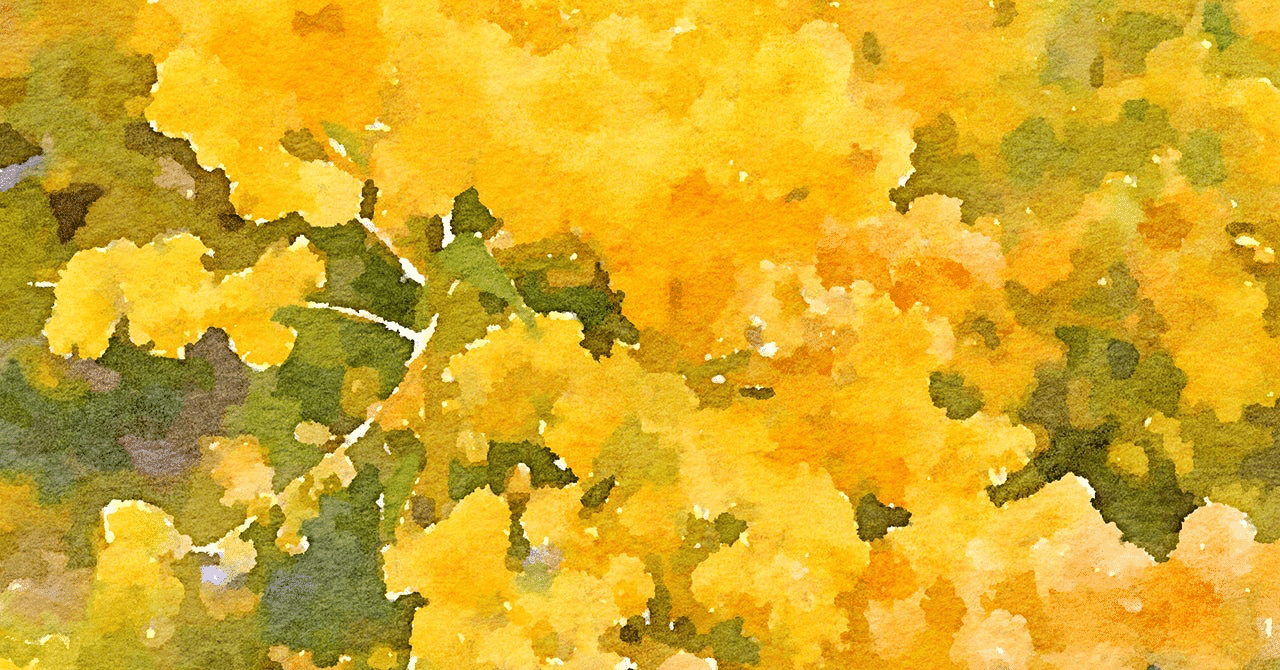 #16 豊かさを感じていたら豊かさが巡ってきた！｜自己受容カウンセラーますみ