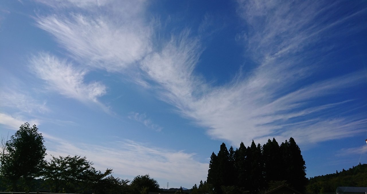 いろいろなものに幸せを見る｜(Linp&Ruru) 本当の自分を知り、本当の自分として生きる｜note