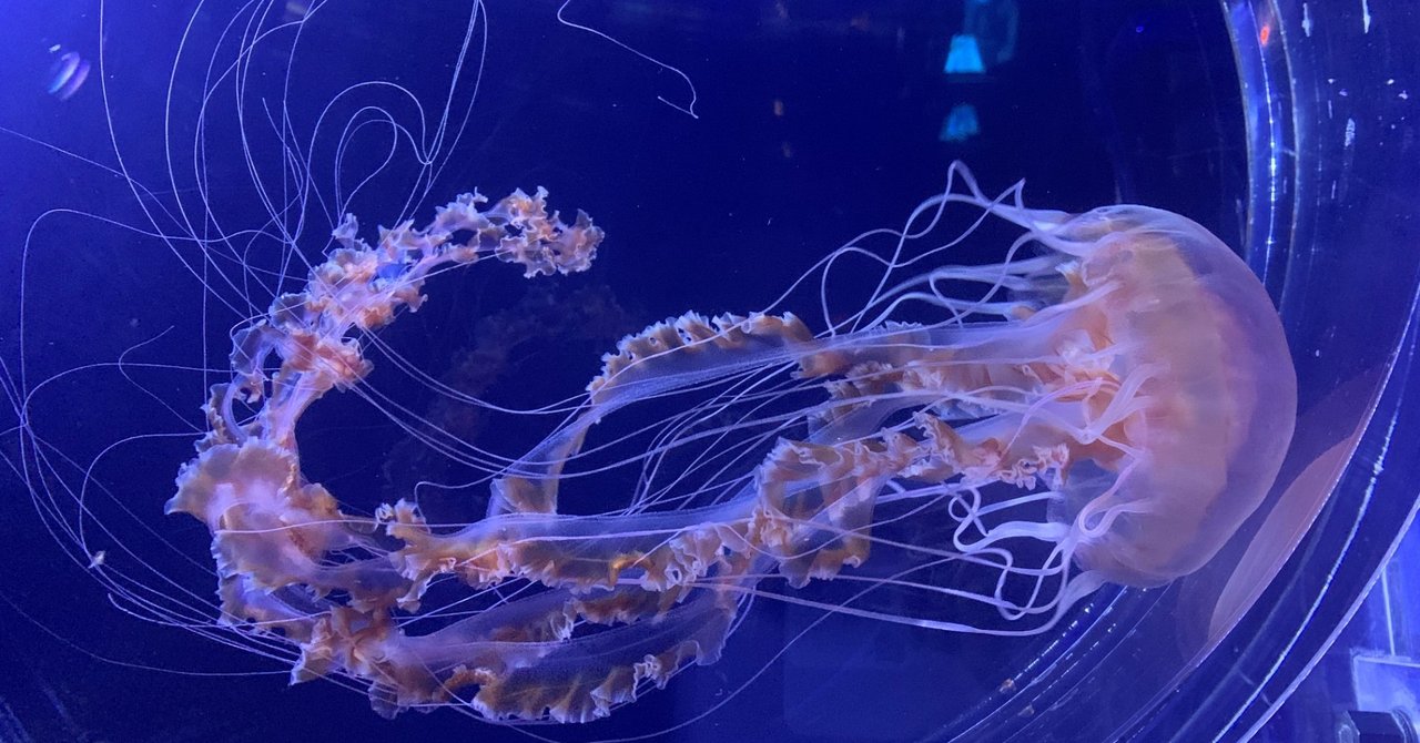 ポジティブに勝るものなし。｜Saki Inoue｜note