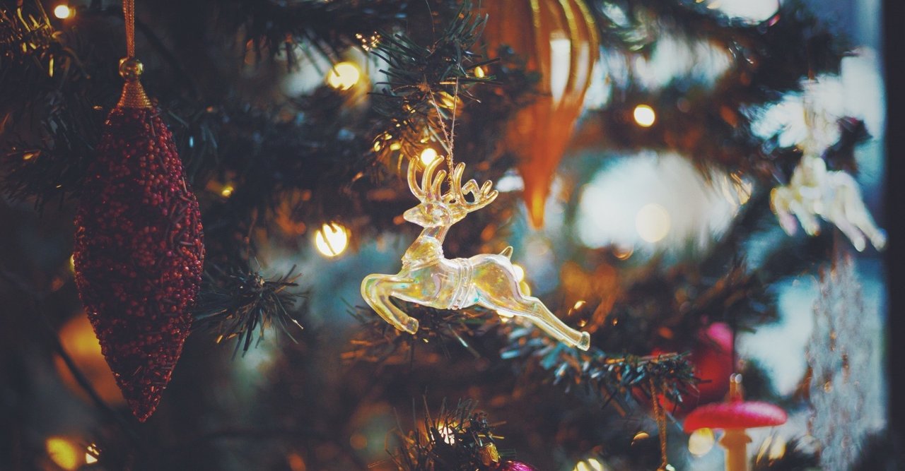 DASHER｜杉本あやな