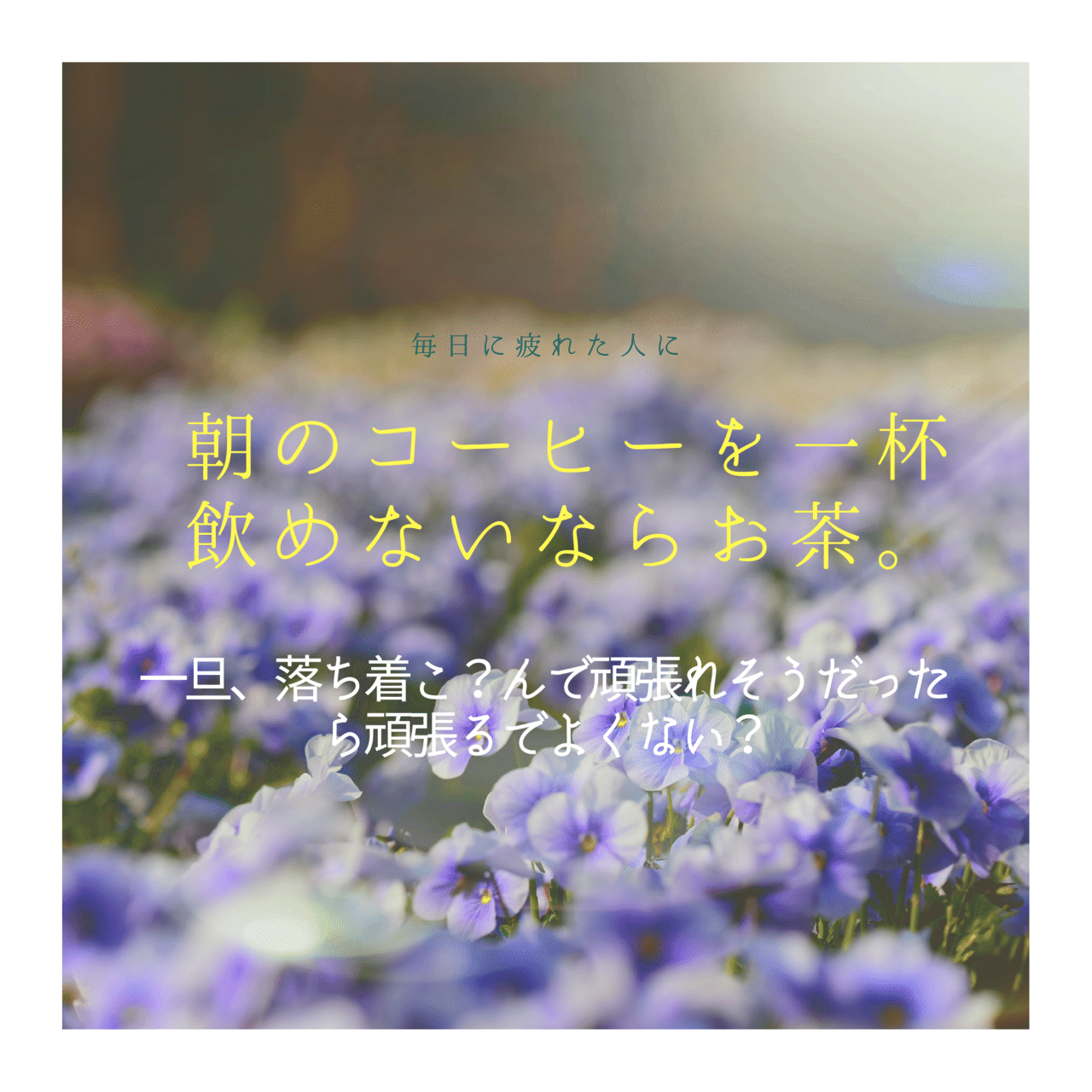 未来を予測する最良の方法は、未来を創り出すことだ。ーエイブラハム･リンカーン｜Masashi.Anzai~動作･身体の専門家~