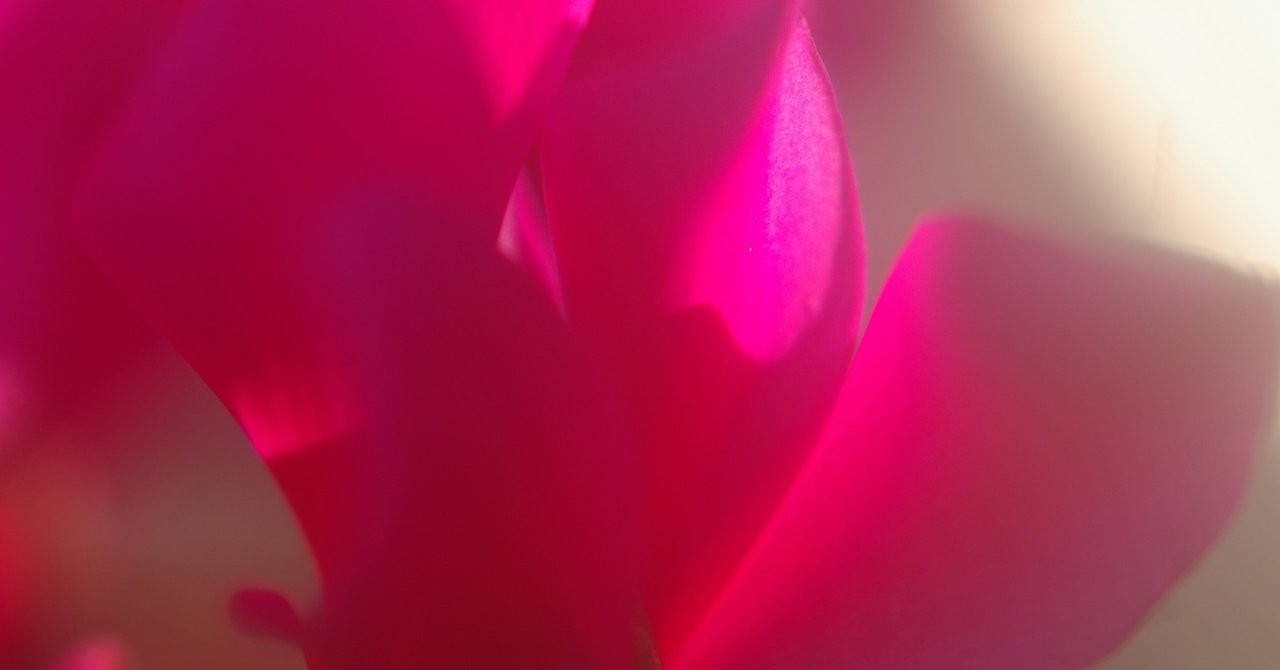 投影。・。・。・。・。｜Cosmic Suzu｜note