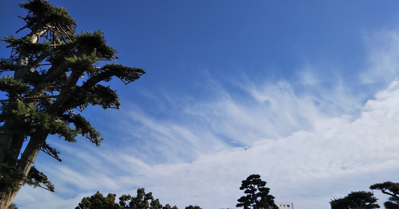 相手が自分を必要としなくなる日を目指して｜Mika Sudo