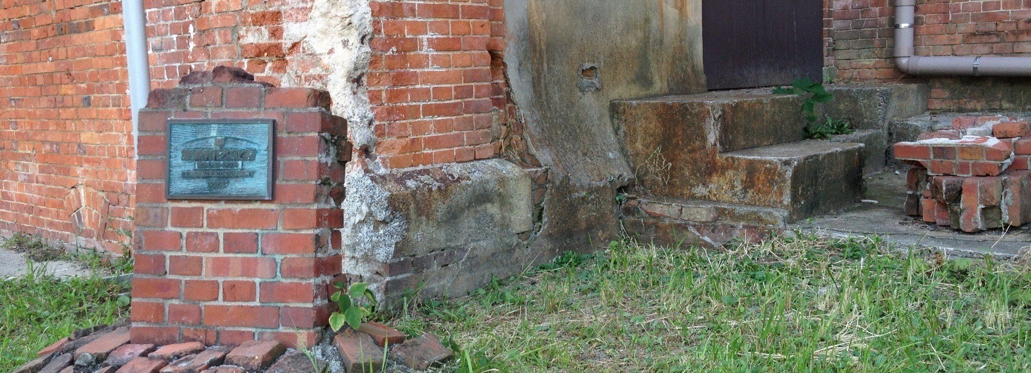 Naomi Iwata (O-bake)｜note