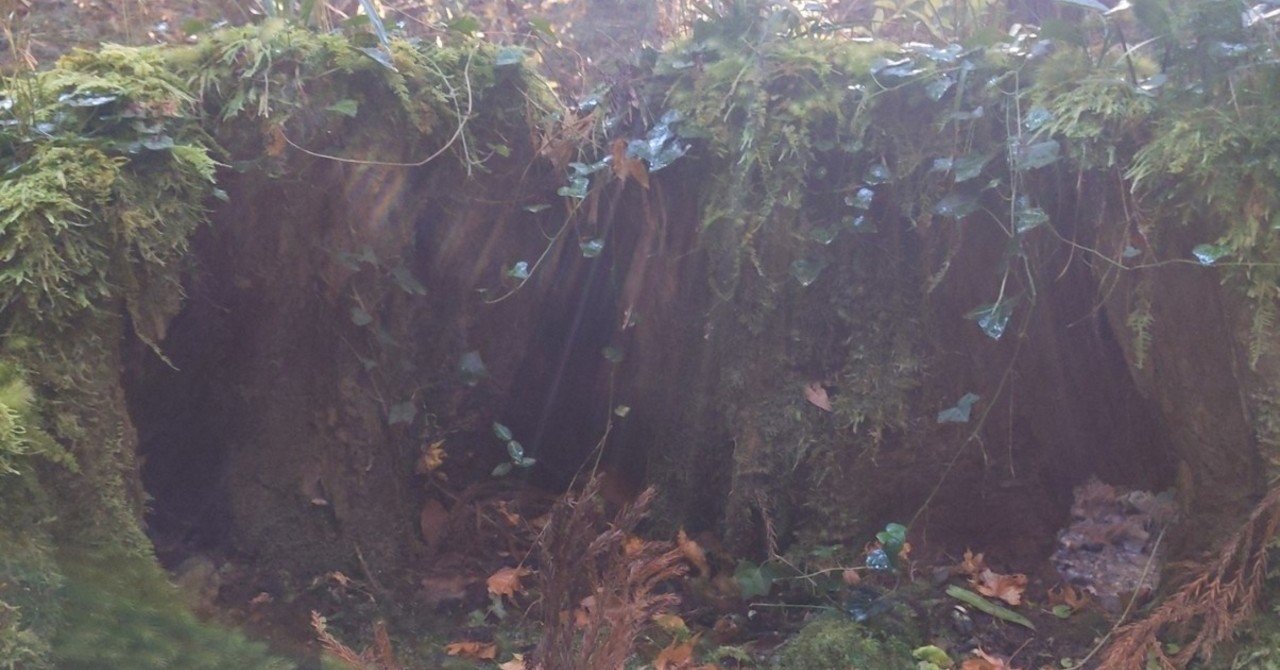 生まれたときから一人1つの宇宙｜cosmic gypsy ゆか