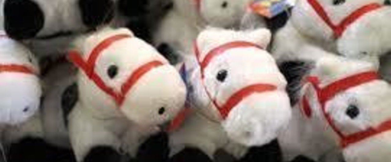 生きとし生けるものの神秘｜lunatic_smile｜note