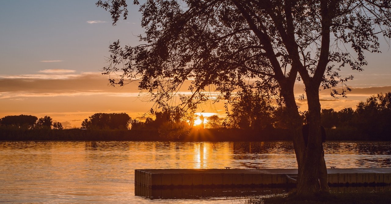 『ニュー・アース』省察⑤ ‐ 喪失がもたらす平安とエゴの崩壊｜Keiko Usami