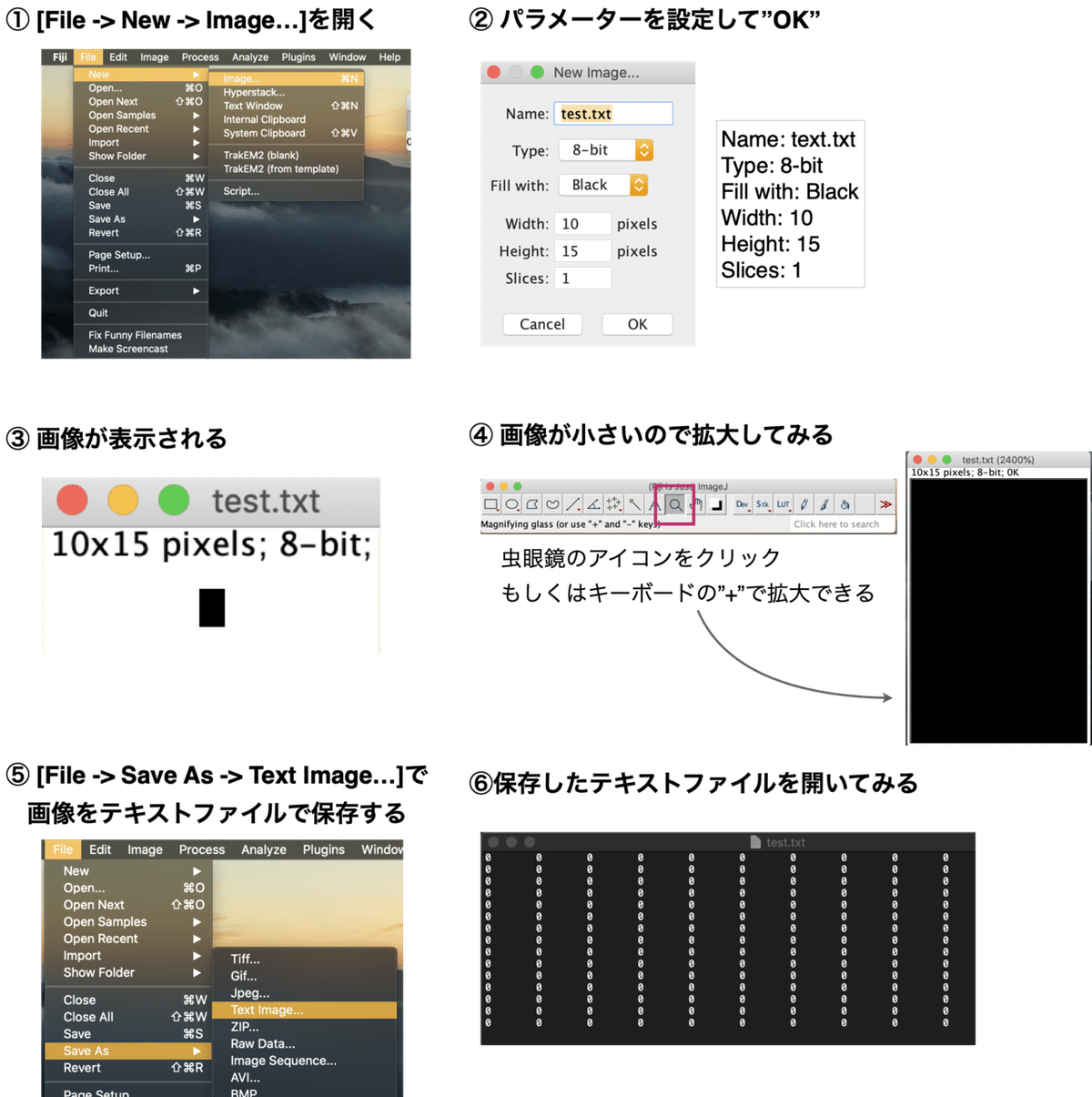 【ImageJ】画像データは数値データ？｜eiko_programming