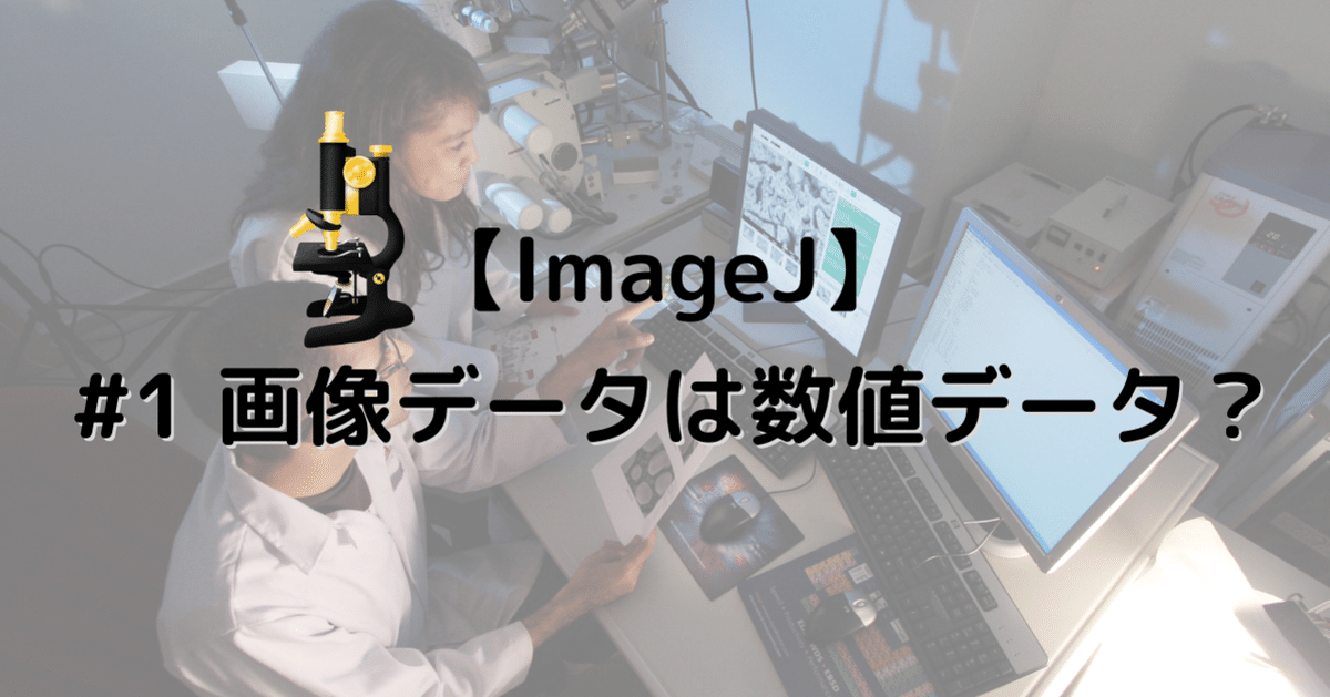 【ImageJ】画像データは数値データ？｜eiko_programming